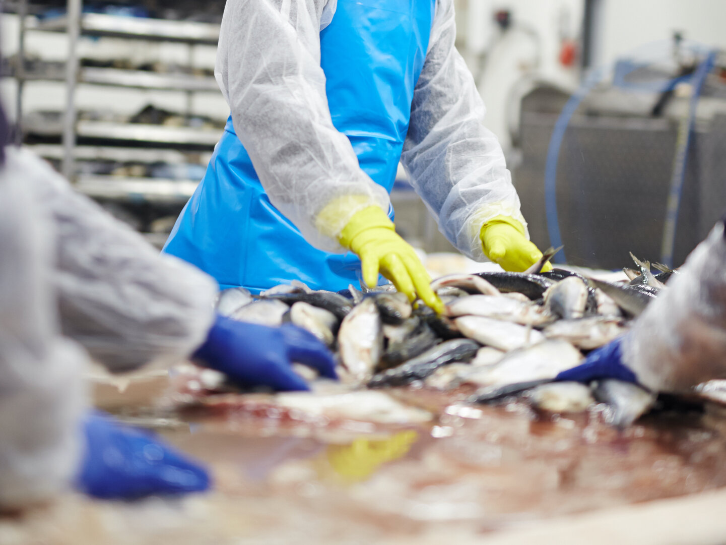 CAPPI - Packaging for logistics